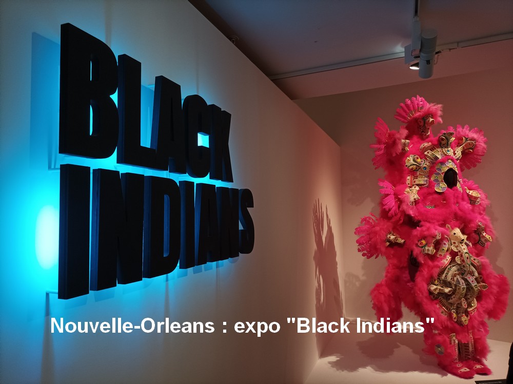 Visite au musée du Quai Branly